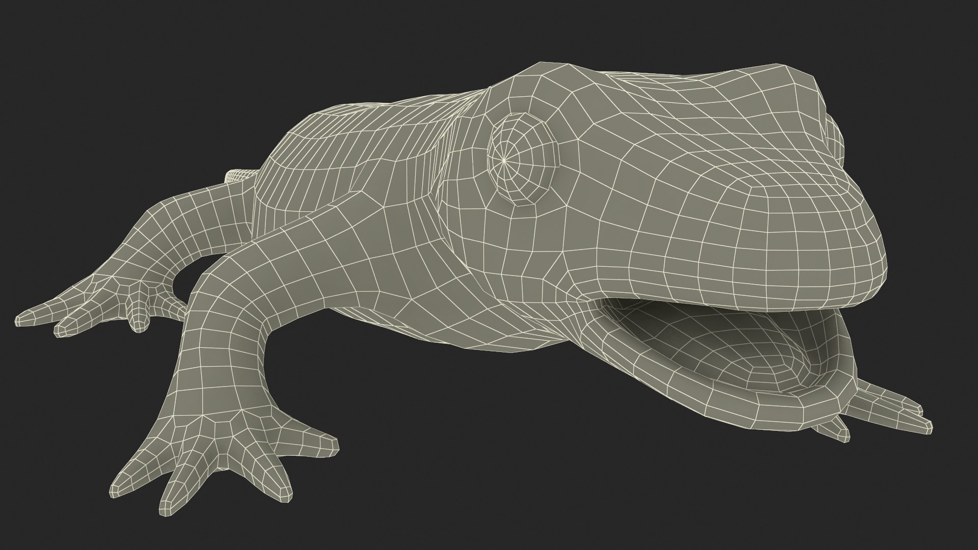 3D Model California Newt - TurboSquid 2143046