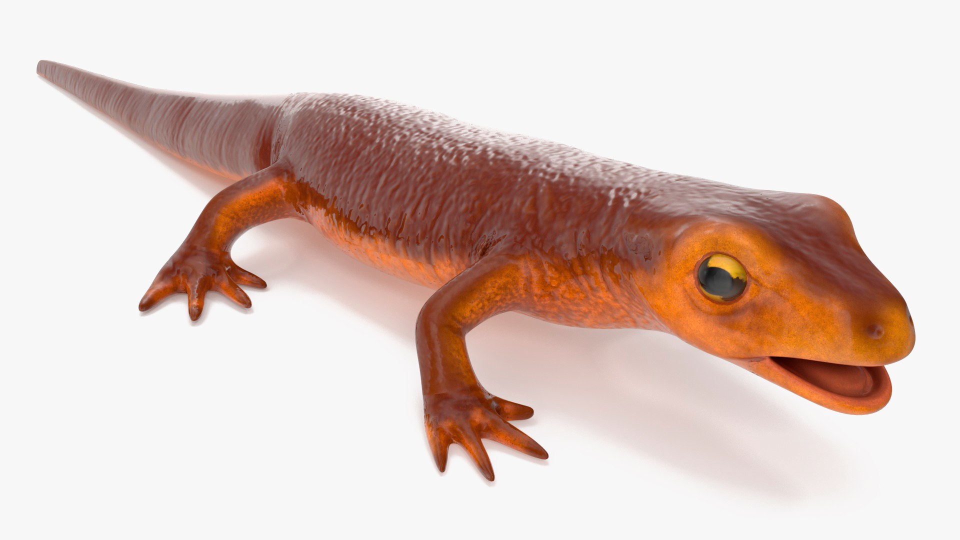 3D Model California Newt - TurboSquid 2143046