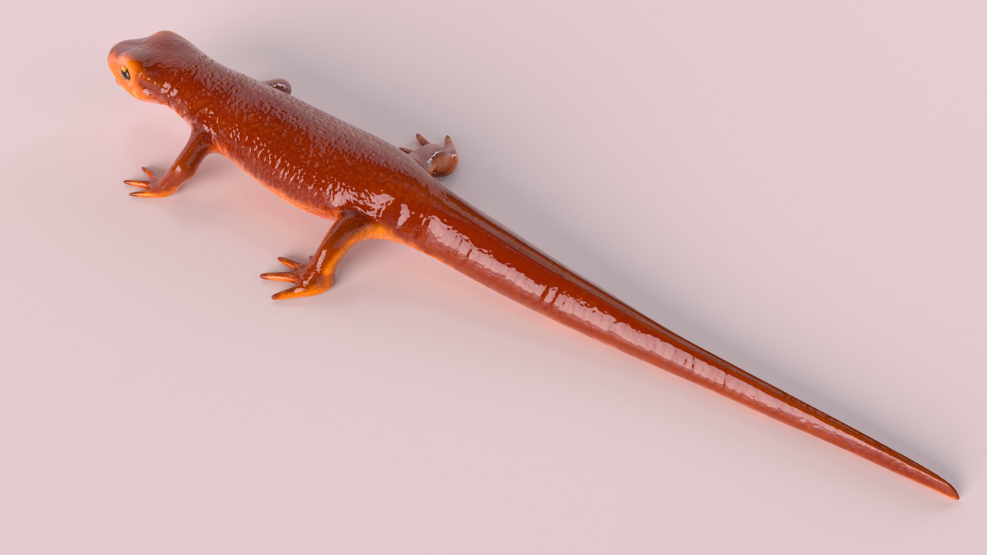 3D Model California Newt - TurboSquid 2143046