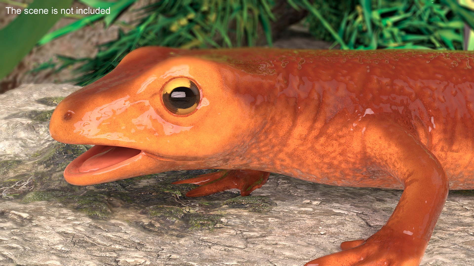 3D Model California Newt - TurboSquid 2143046