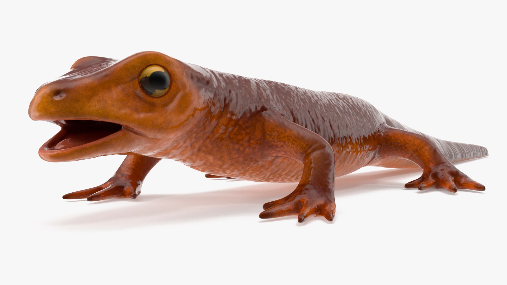 3D Model California Newt - TurboSquid 2143046