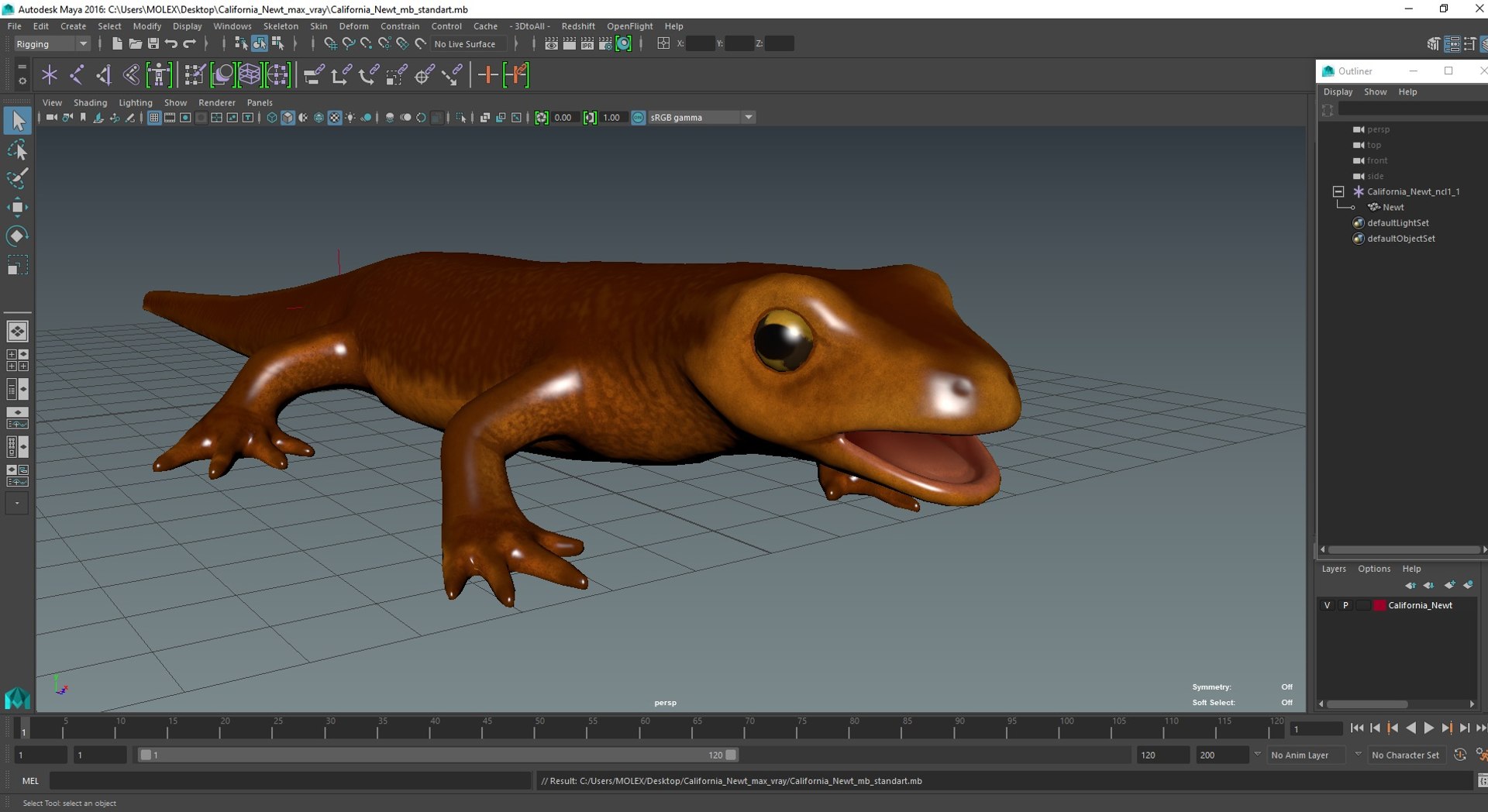 3D Model California Newt - TurboSquid 2143046