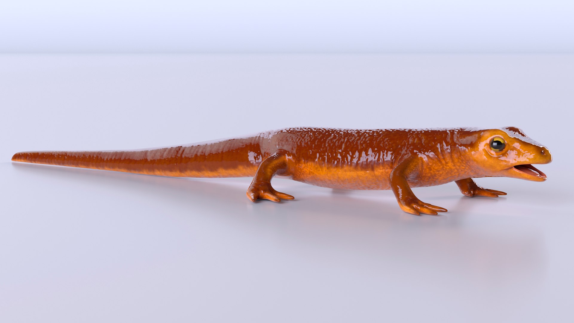 3D Model California Newt - TurboSquid 2143046