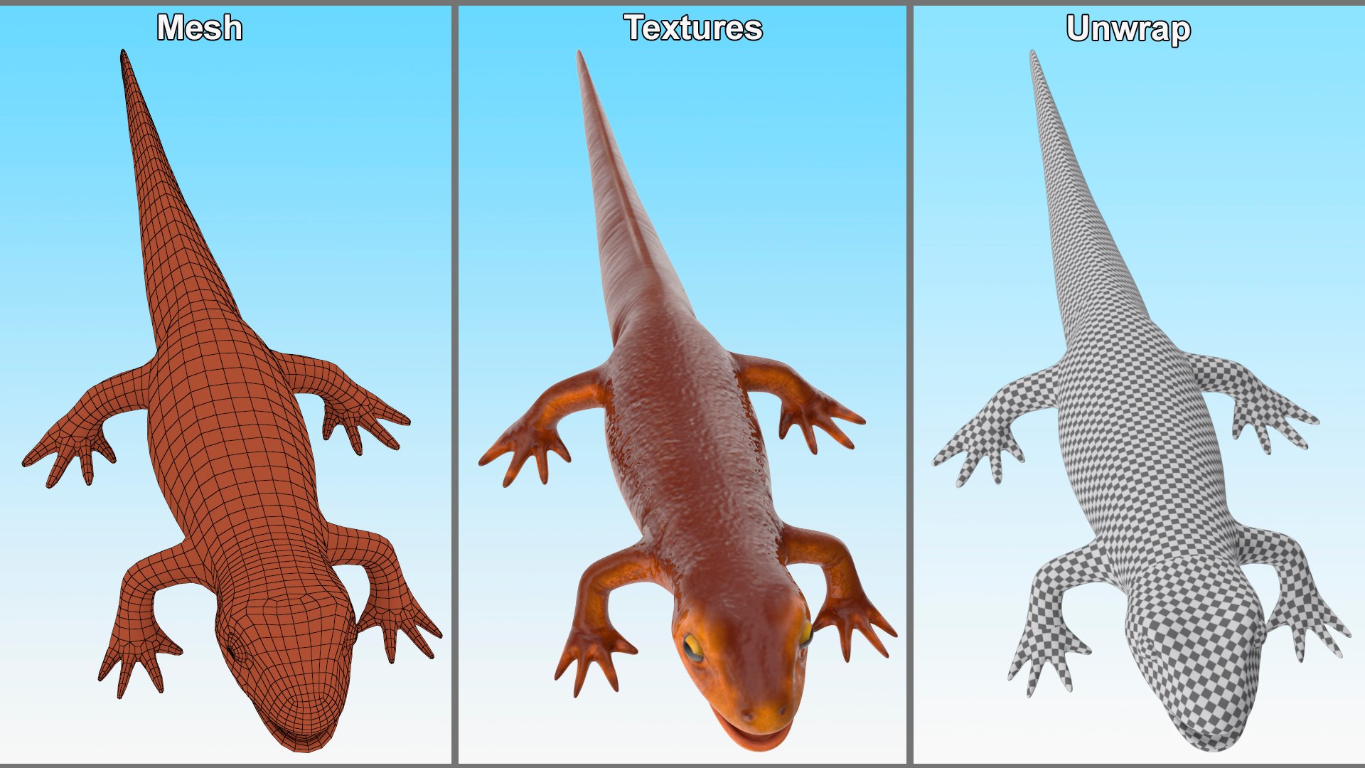 3D Model California Newt - TurboSquid 2143046
