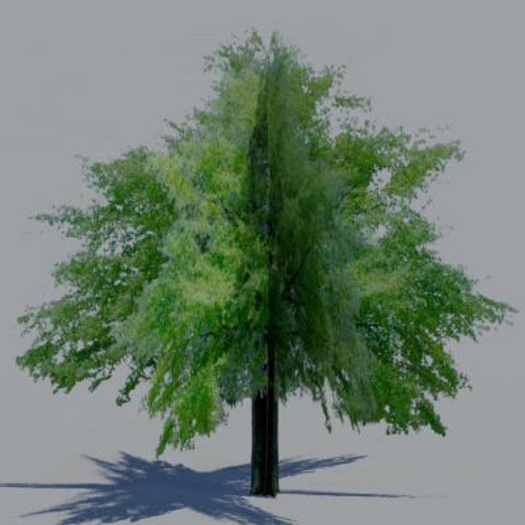 3ds Max Trees
