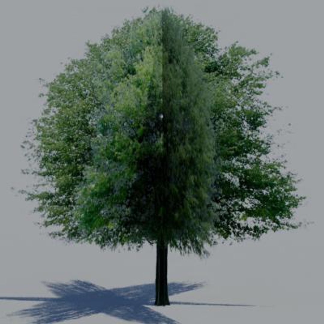 3ds Max Trees