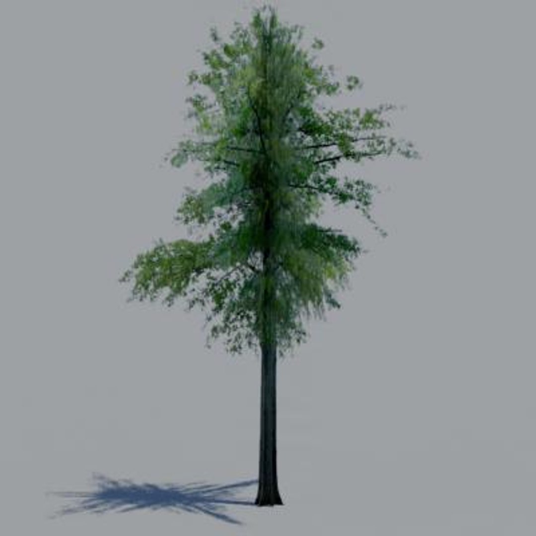 3ds Max Trees