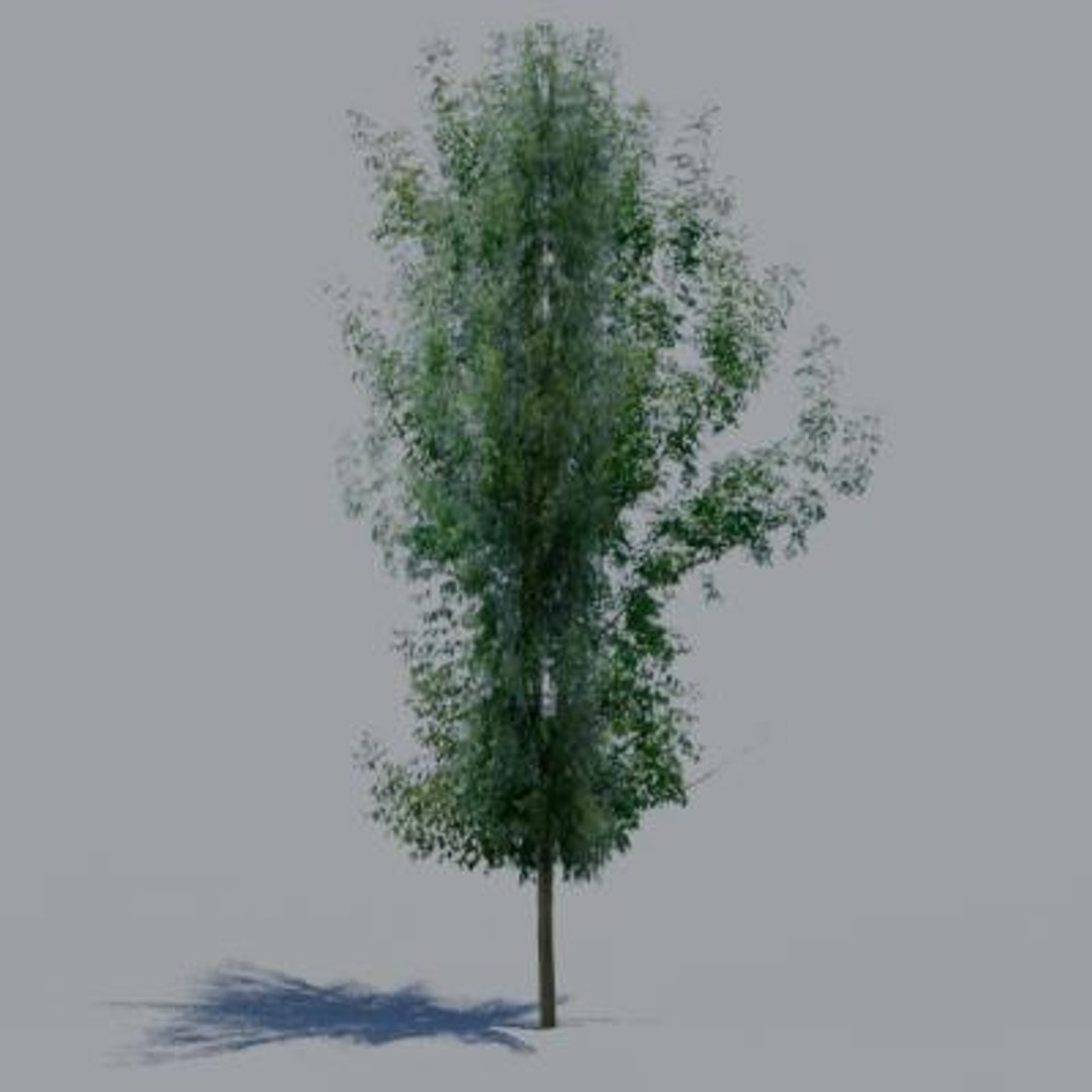 3ds Max Trees