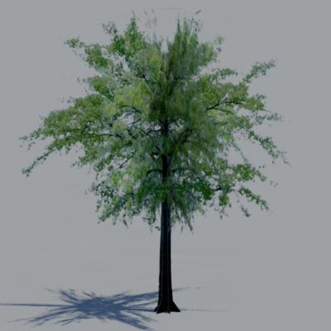 3ds Max Trees