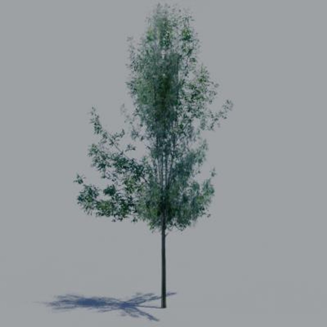 3ds Max Trees