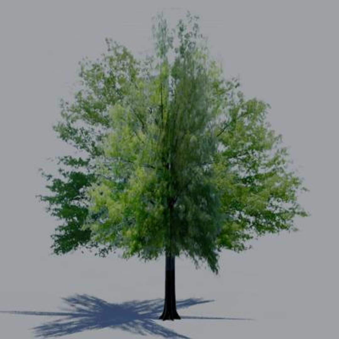 3ds Max Trees