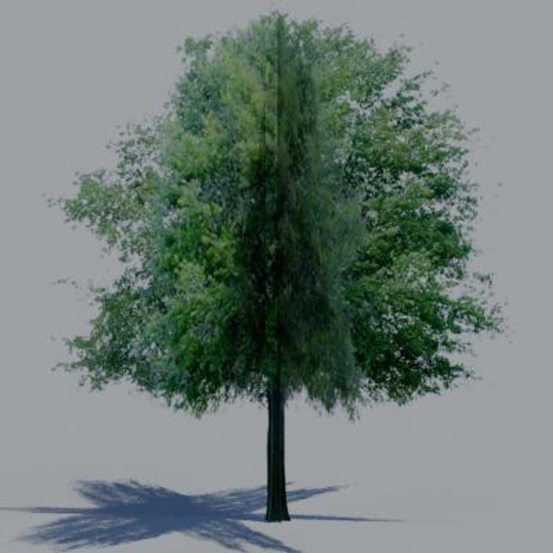 3ds Max Trees