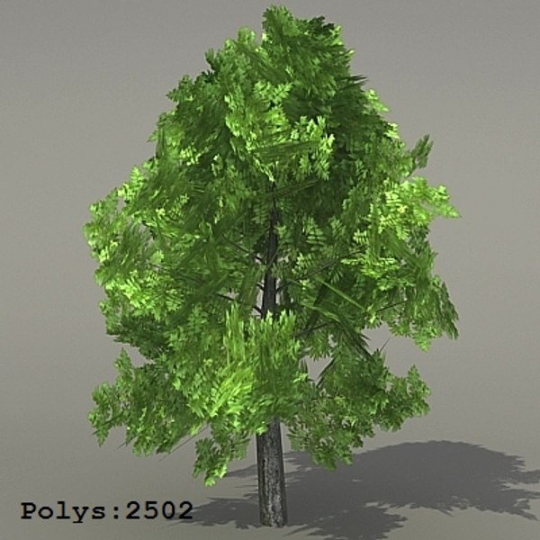 3d model of tree