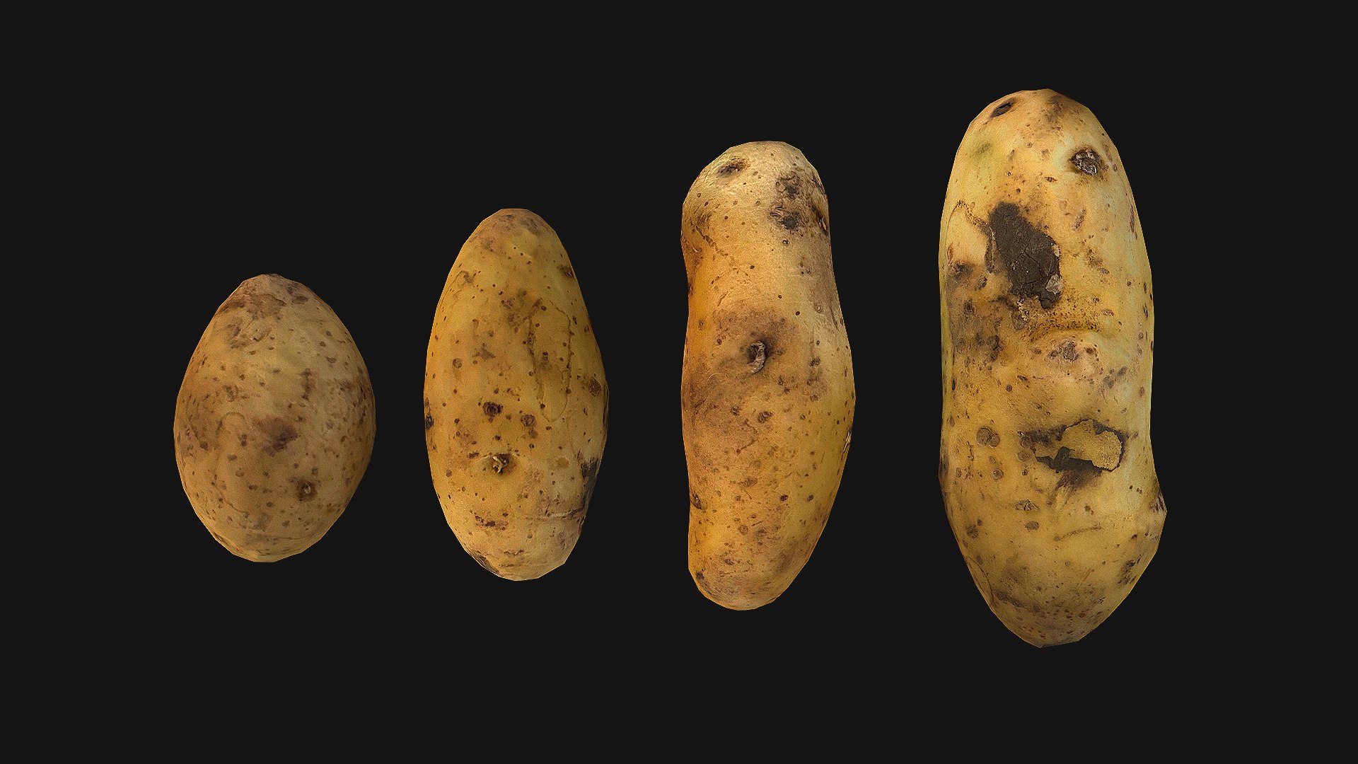 3D Potato Model - TurboSquid 1915723