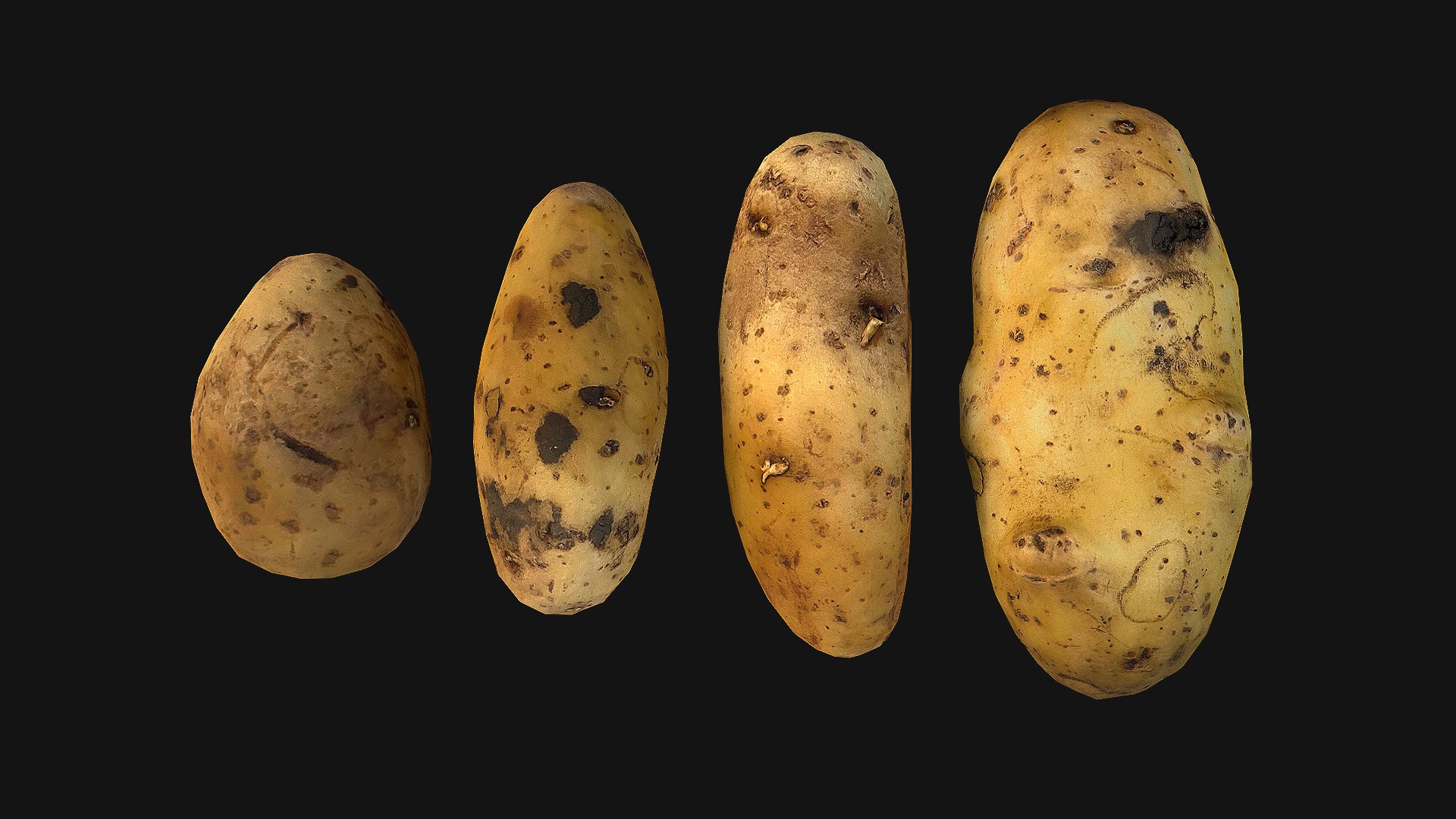 3D Potato Model - TurboSquid 1915723