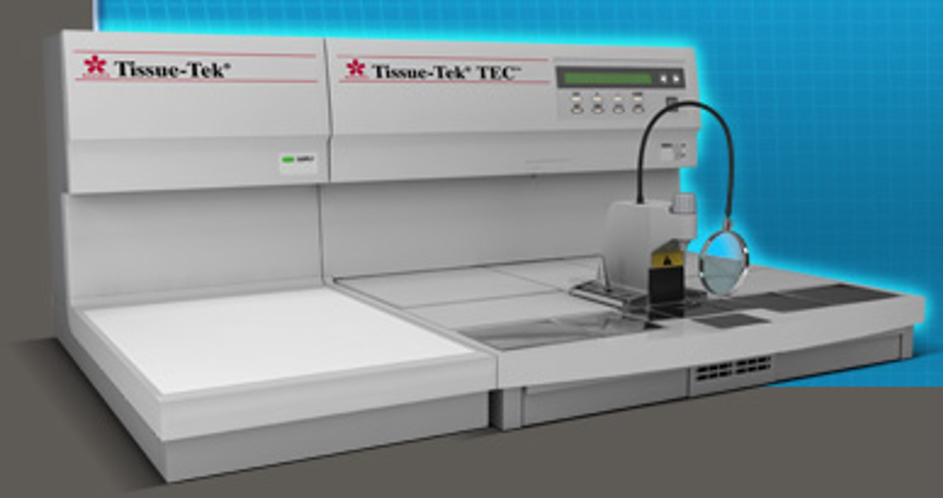 Tissue Embedding Model - TurboSquid 1162386