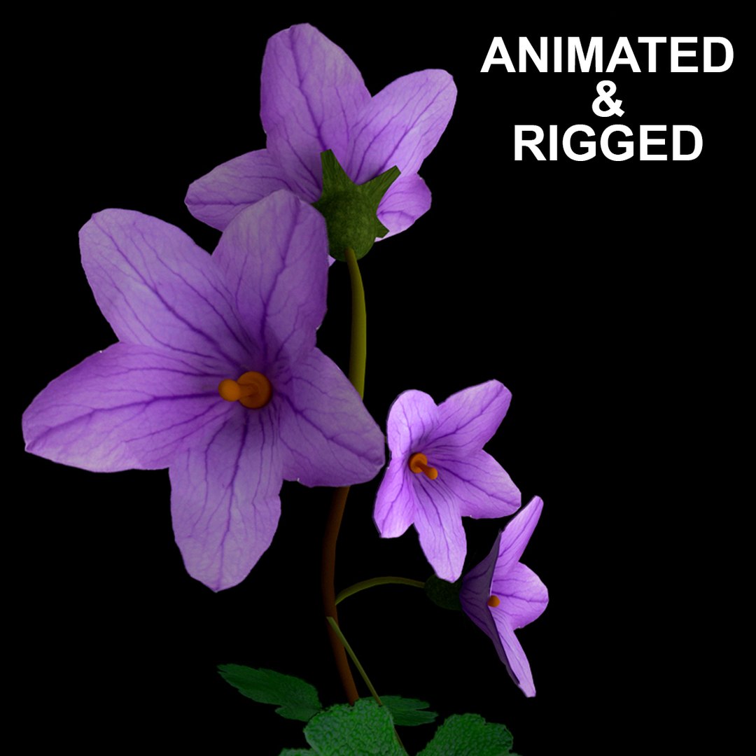 3D Flowers Open Animation Model - TurboSquid 1586196