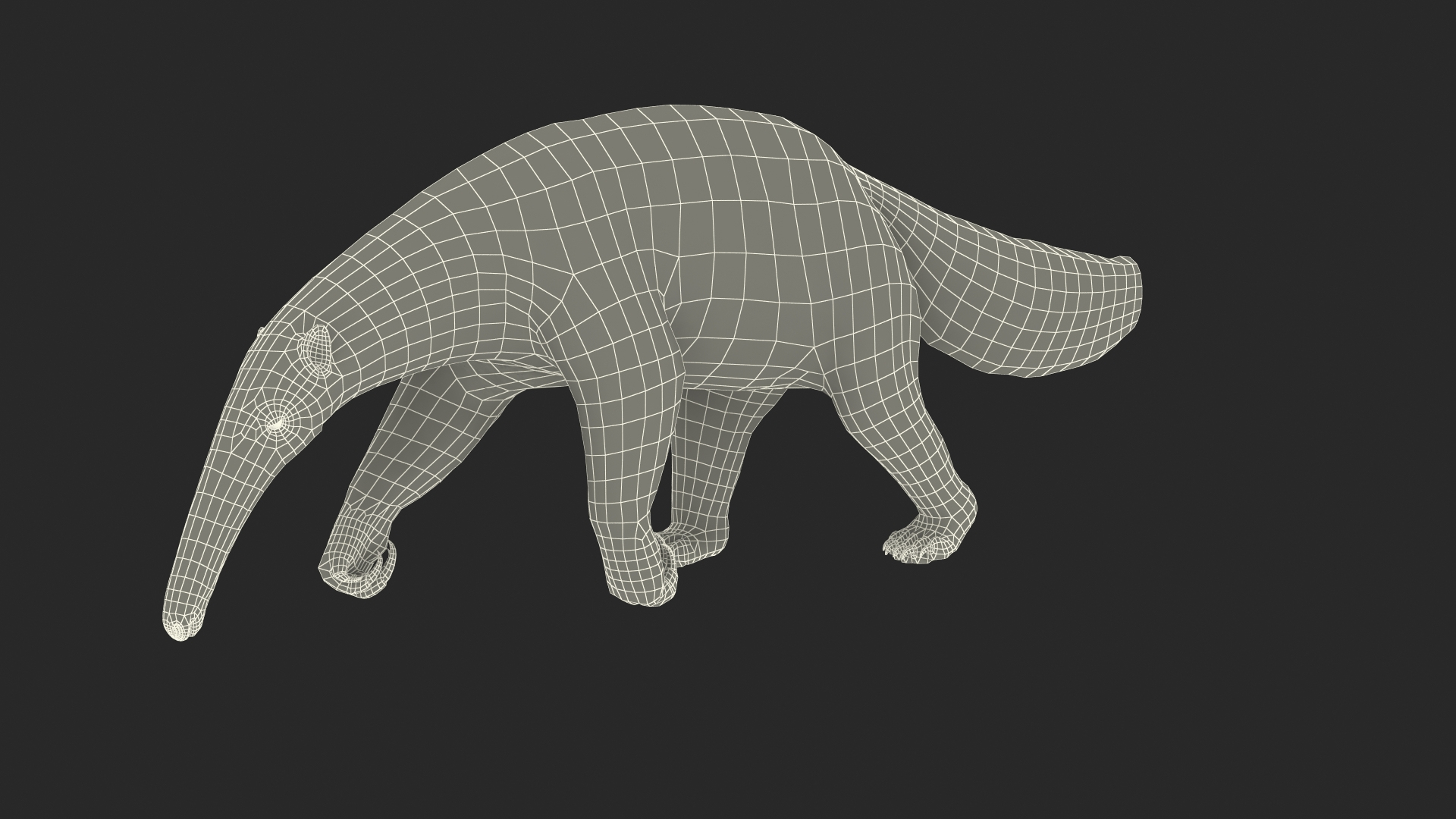 Anteater Walking Pose Fur 3D Model - TurboSquid 1839985
