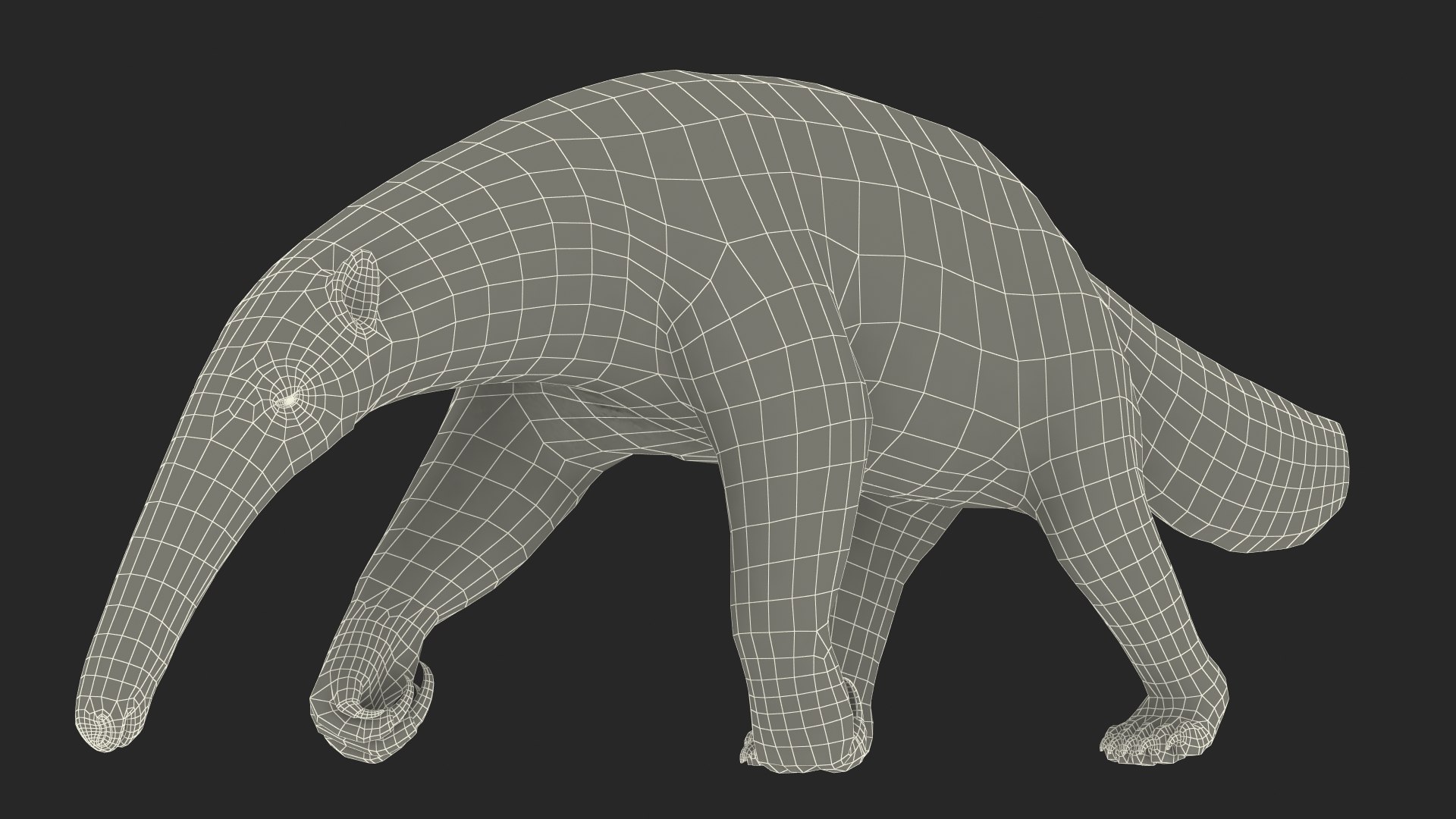 Anteater Walking Pose Fur 3D Model - TurboSquid 1839985