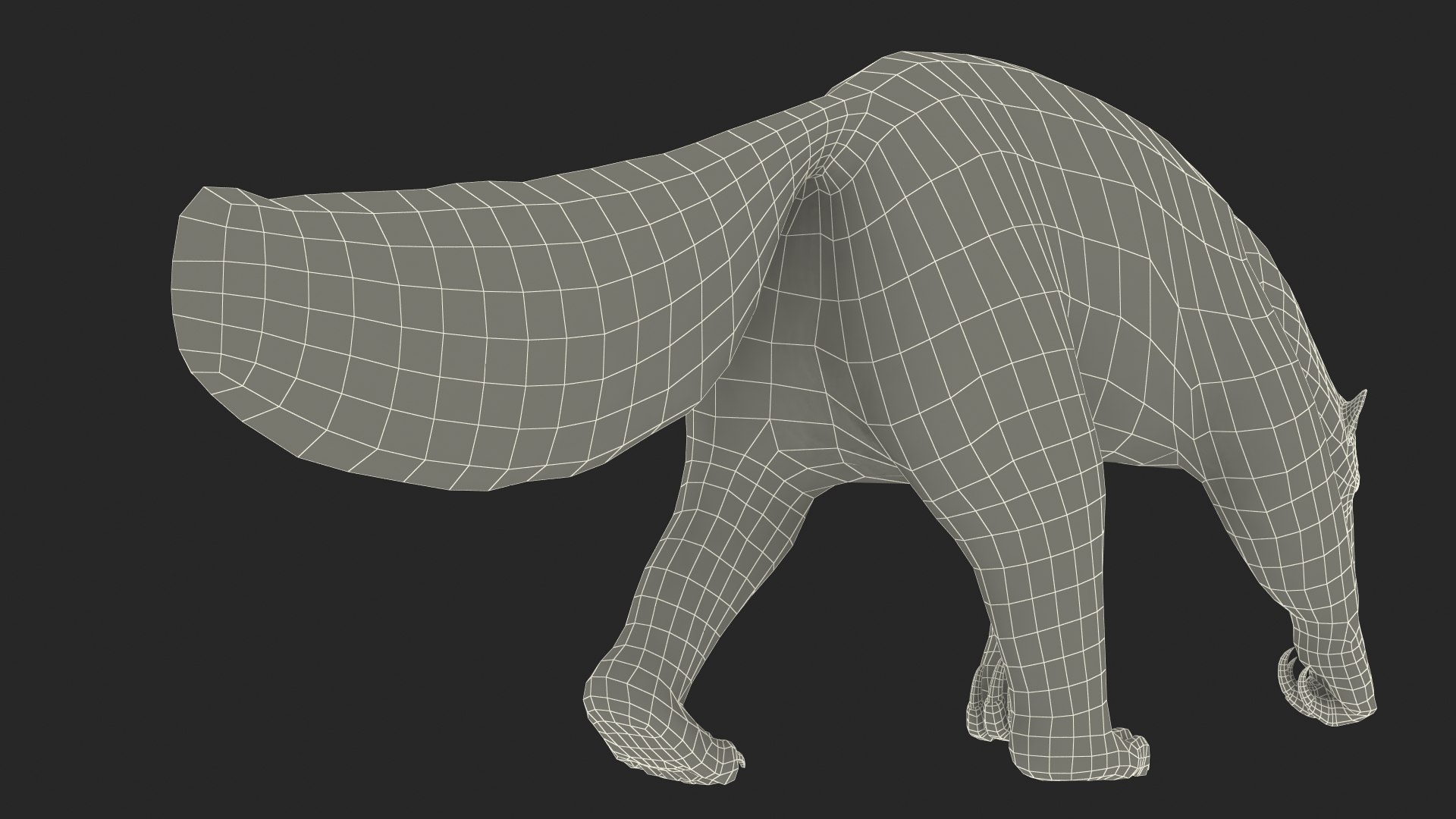Anteater Walking Pose Fur 3D Model - TurboSquid 1839985