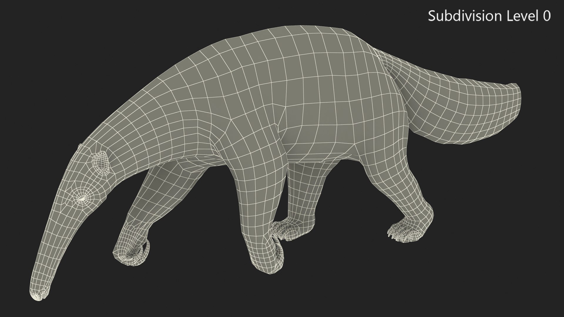 Anteater Walking Pose Fur 3D model - TurboSquid 1839985