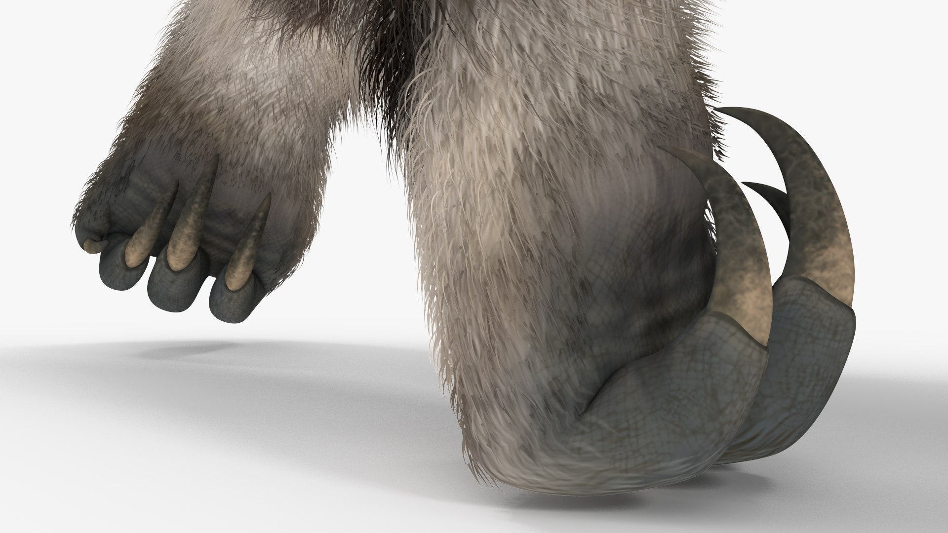 Anteater Walking Pose Fur 3D Model - TurboSquid 1839985