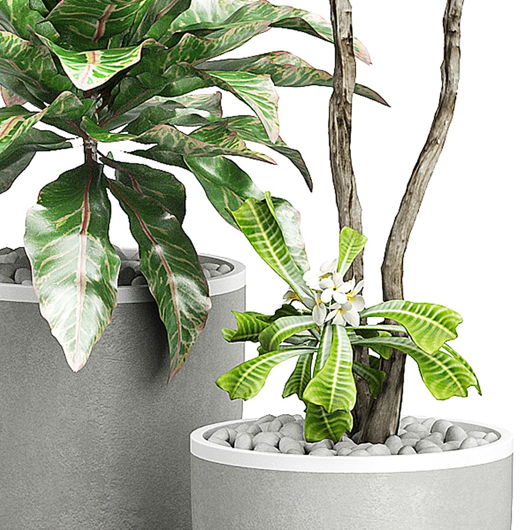 3D Flower Pack 105 - TurboSquid 1632008