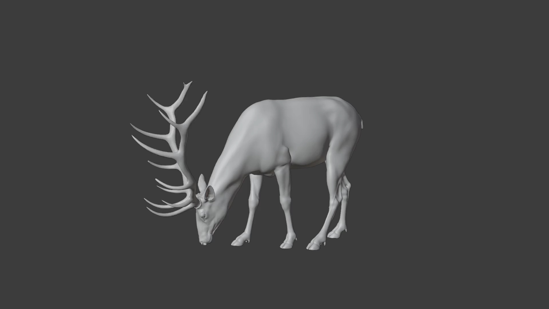 3D Male Elk Animated Model - TurboSquid 1966149