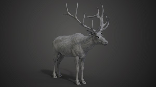 modelo 3d Male Elk Animated - TurboSquid 1966149