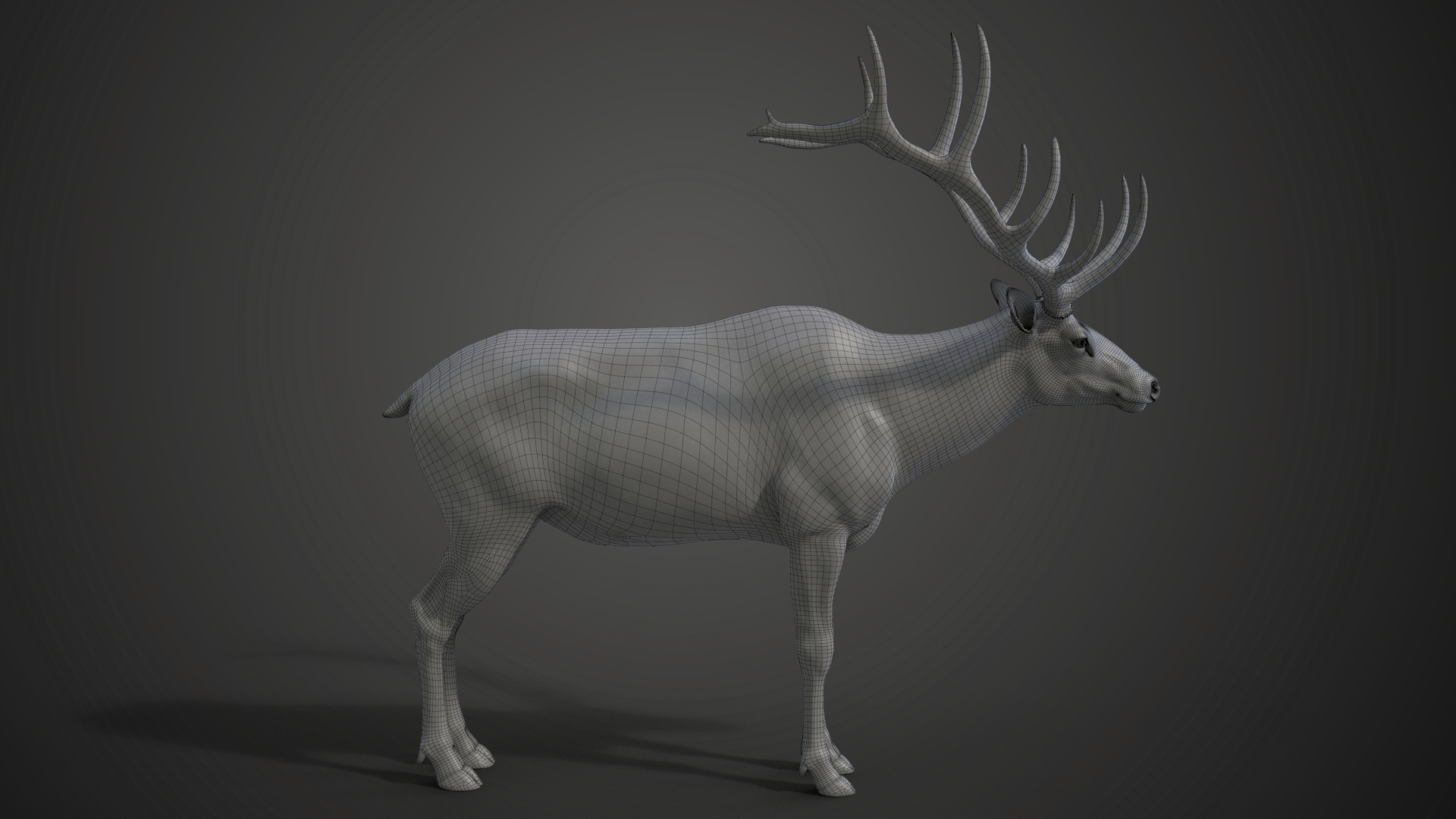 Male Elk Animated Modelo 3D - TurboSquid 1966149