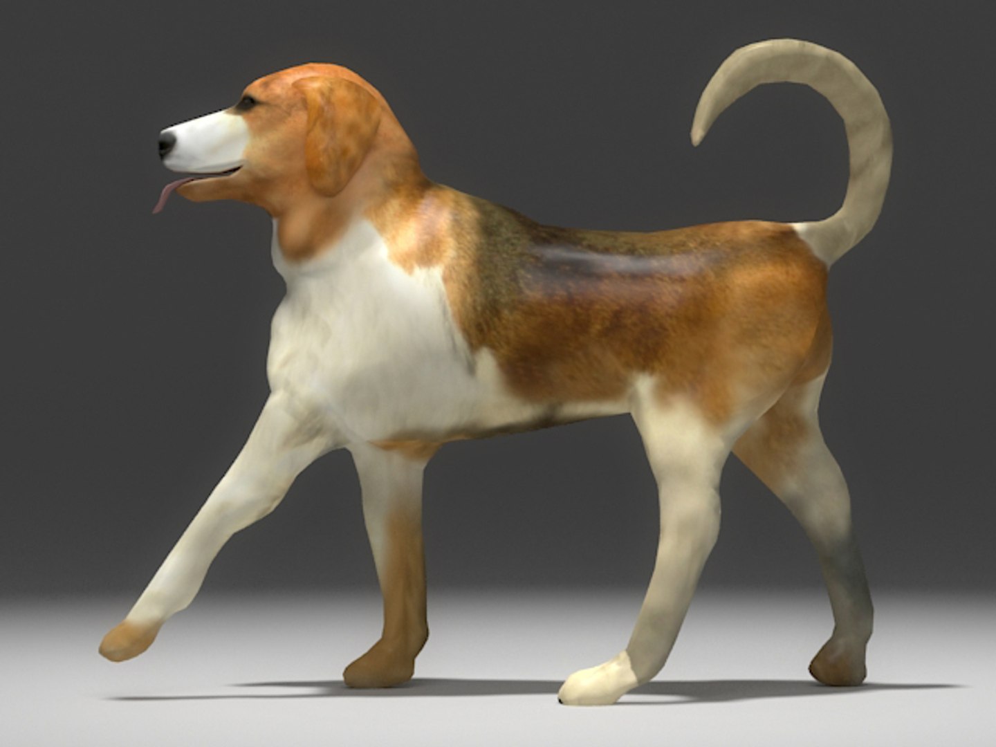 3d model beagle animals