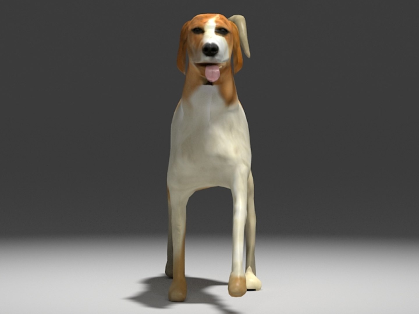 3d model beagle animals