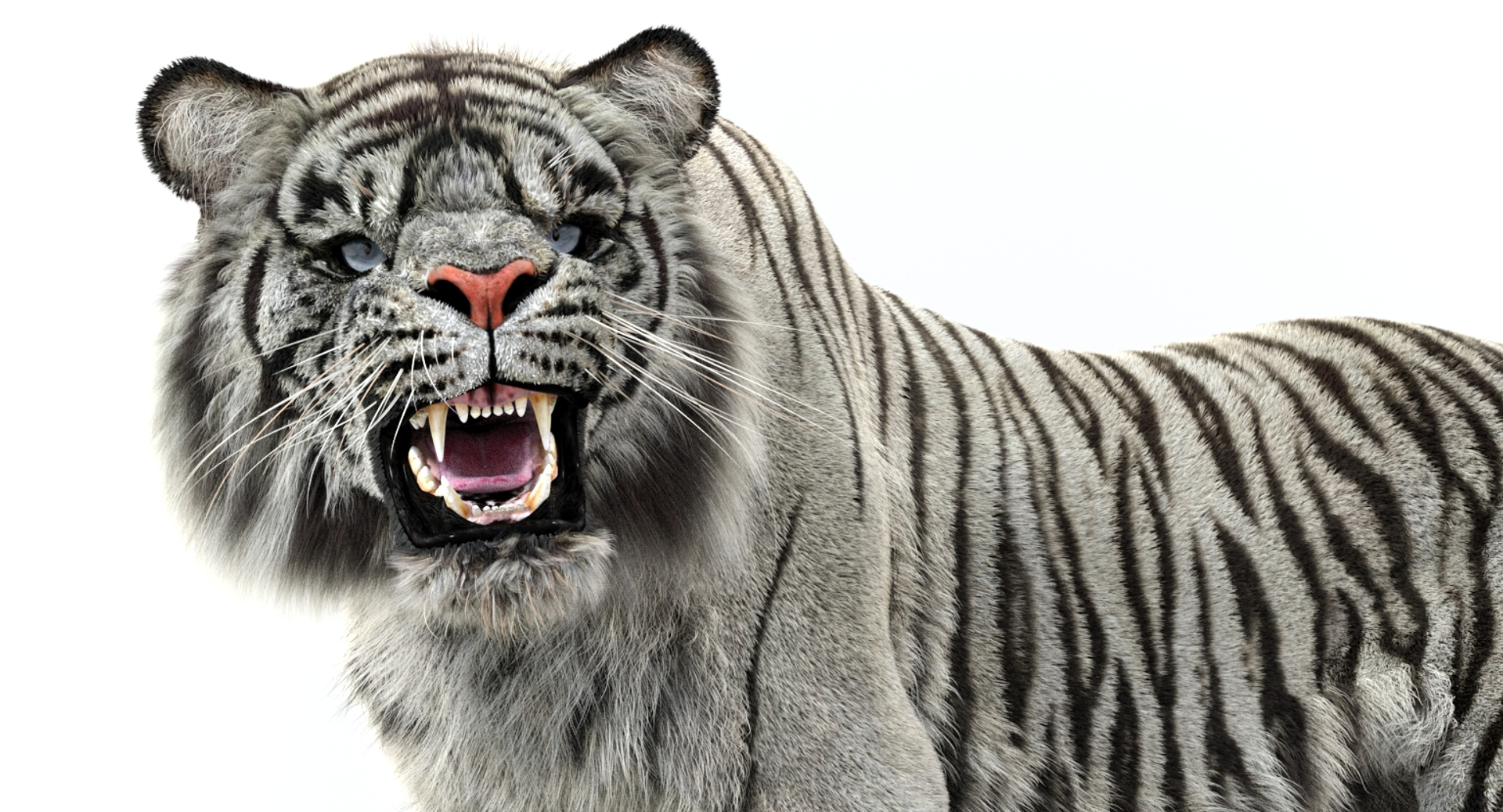 White sumatran tiger fur 3D model - TurboSquid 1202876