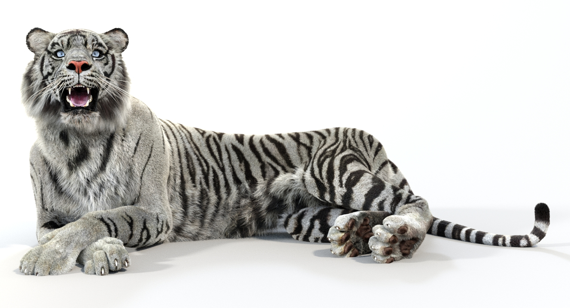 White sumatran tiger fur 3D model - TurboSquid 1202876