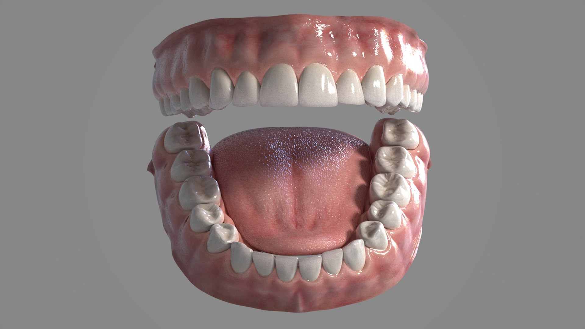3D Model Realistic Human Mouth - TurboSquid 2405749