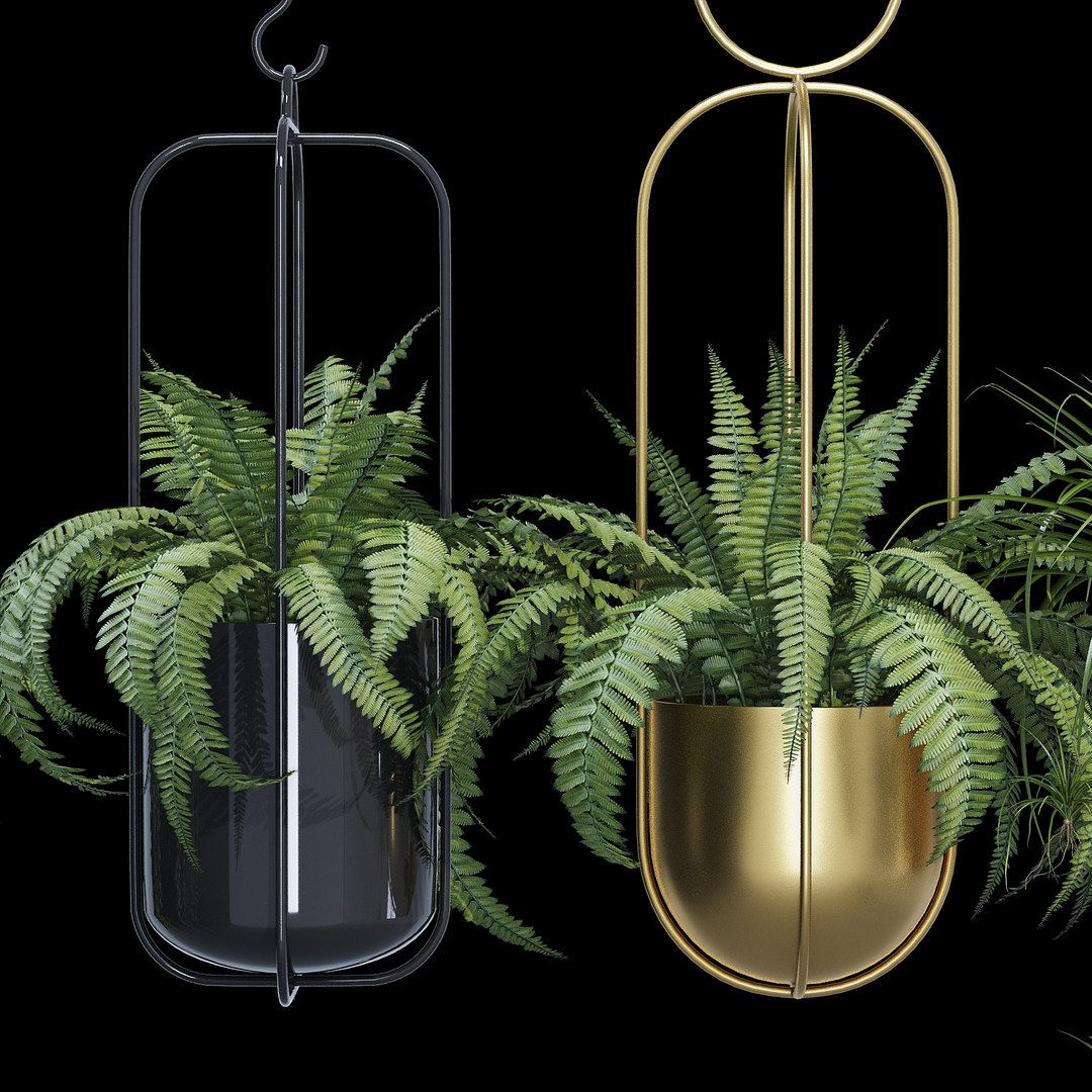 Dionca Katlyn 3D Model - TurboSquid 1754402