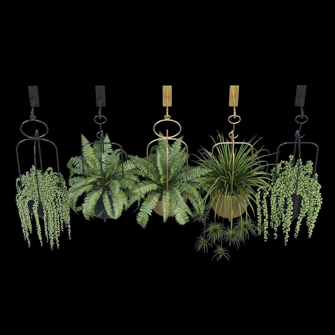 Dionca Katlyn 3D Model - TurboSquid 1754402