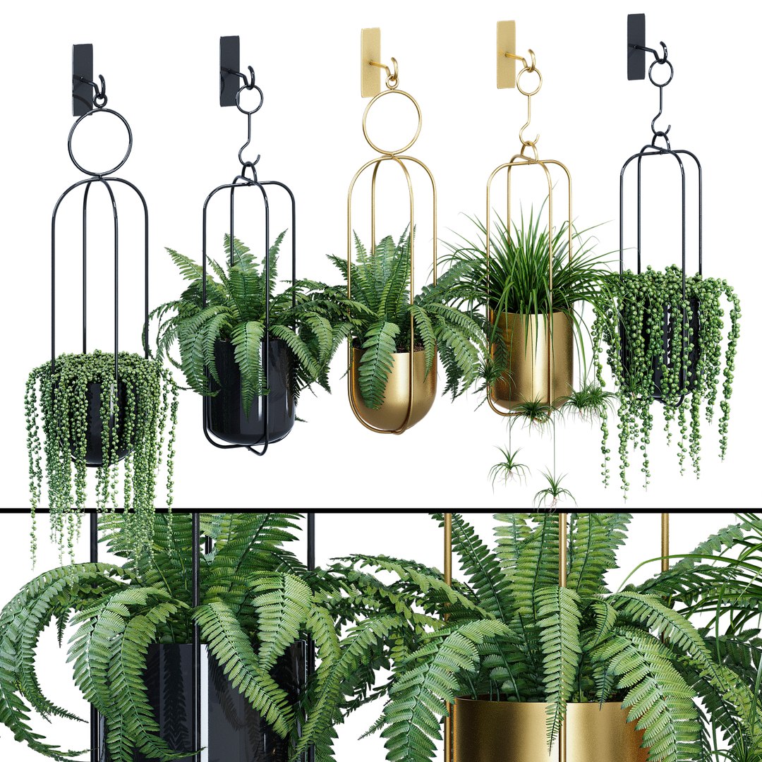 Dionca Katlyn 3D Model - TurboSquid 1754402