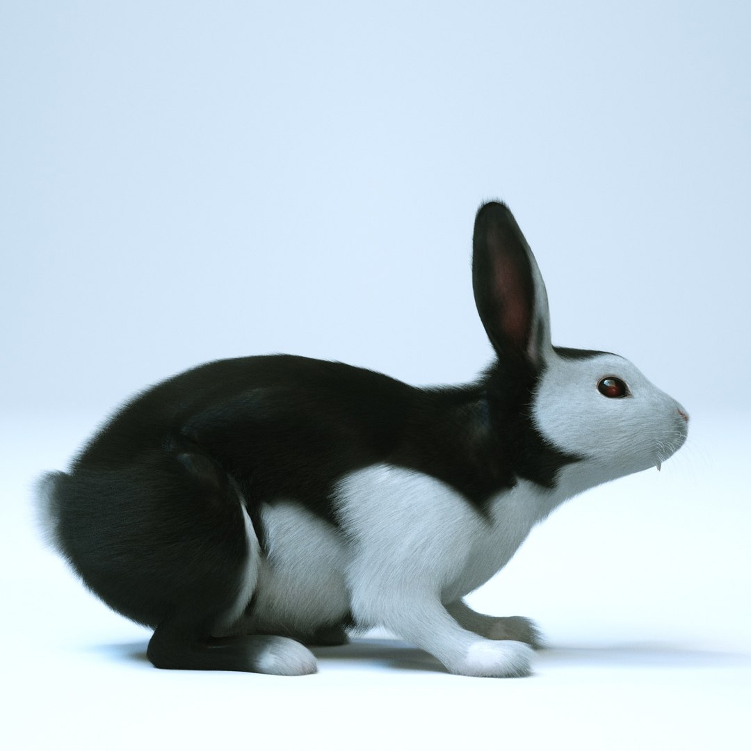 3D Vampire Bunny - TurboSquid 1180833