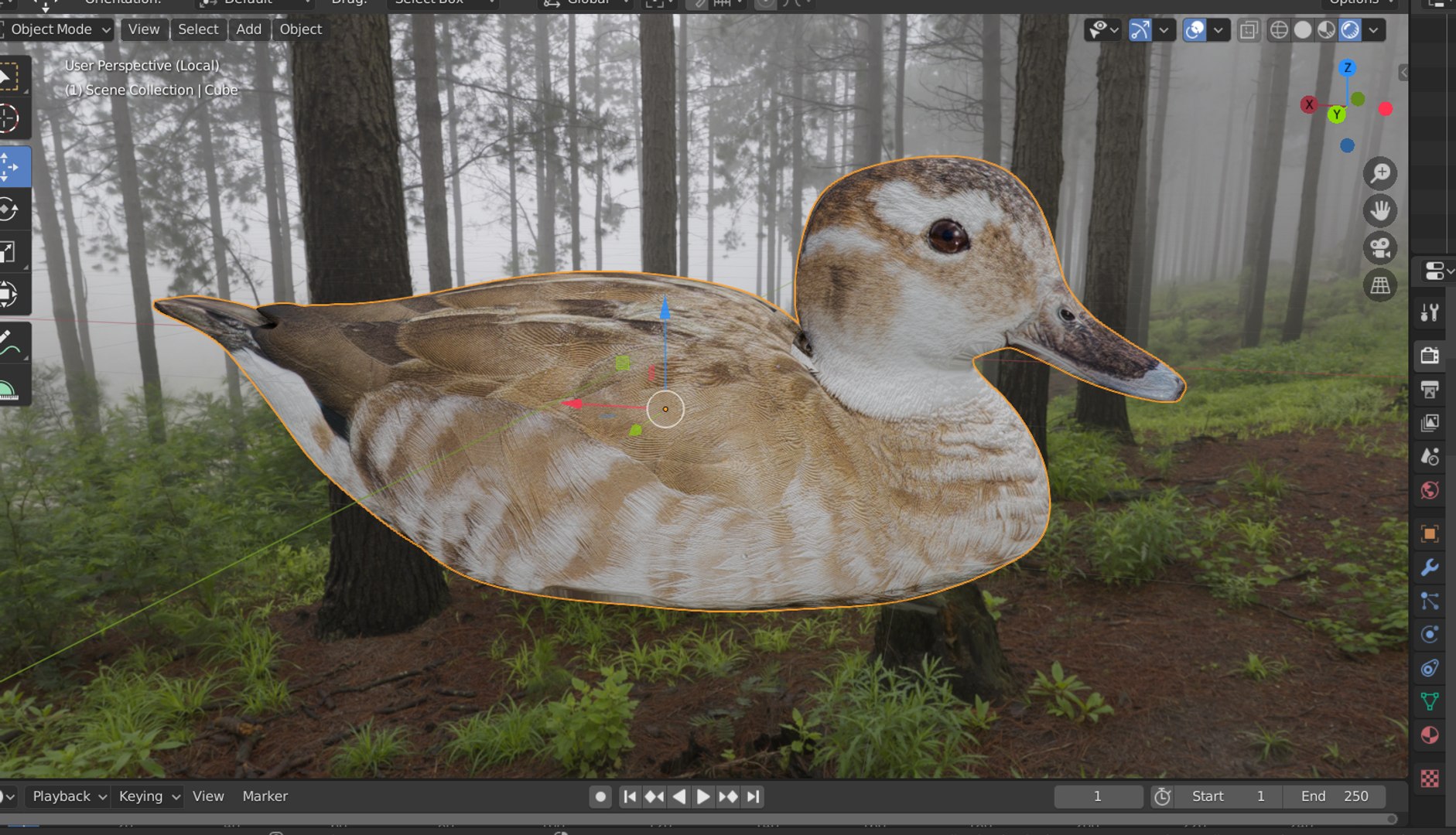 3D Ready Mallard Duck Model - TurboSquid 1642464