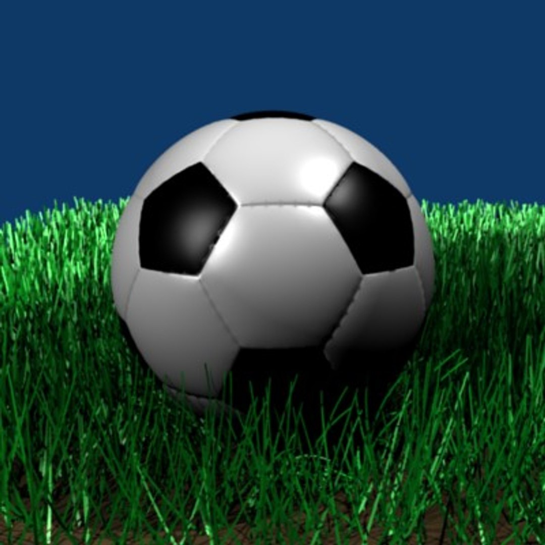 Realistic Soccer Ball Soccerballs 3d Model