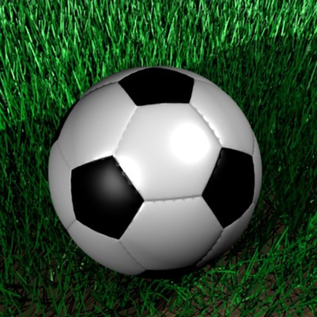 Realistic Soccer Ball Soccerballs 3d Model
