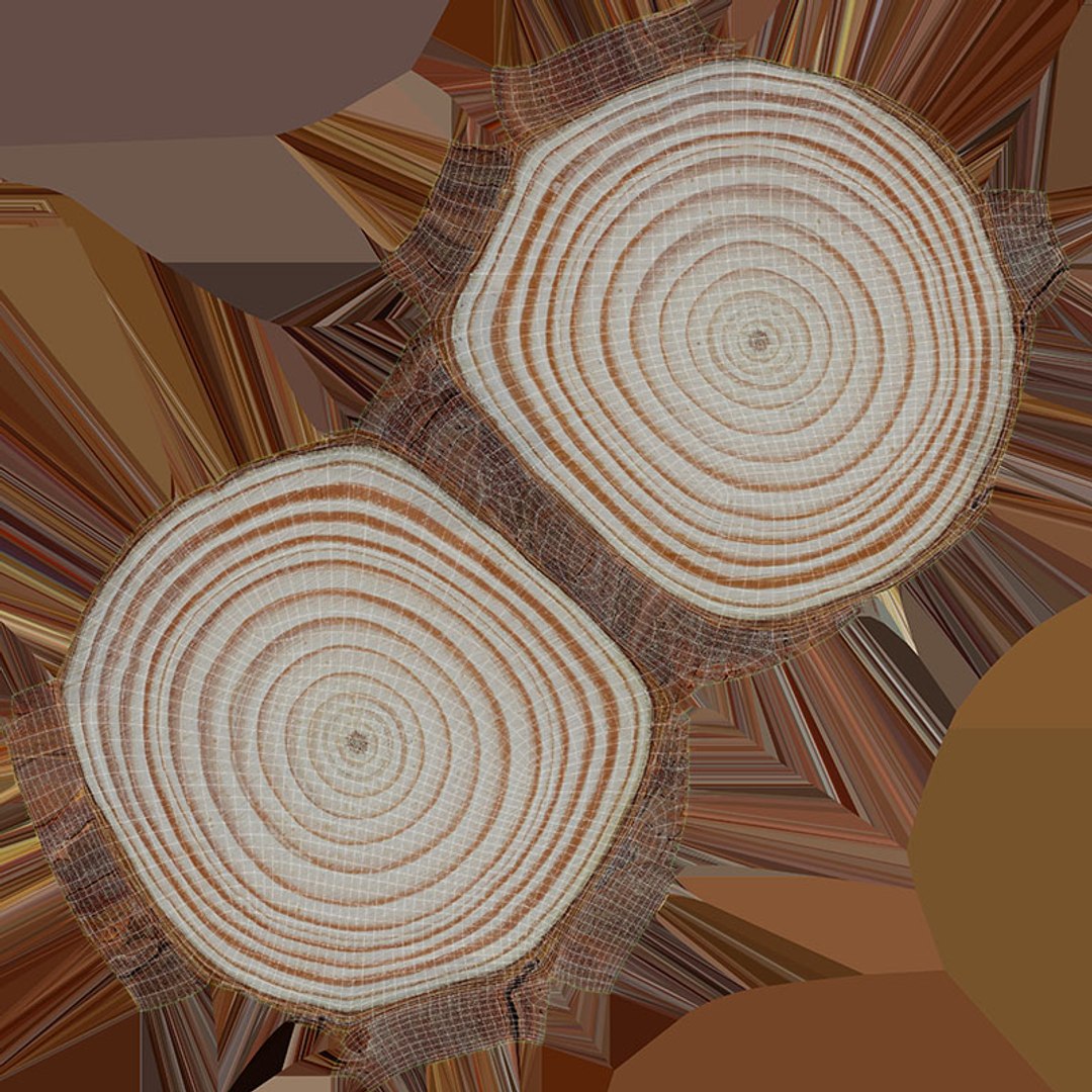 3D Wood Log Slice Collection - TurboSquid 2149410
