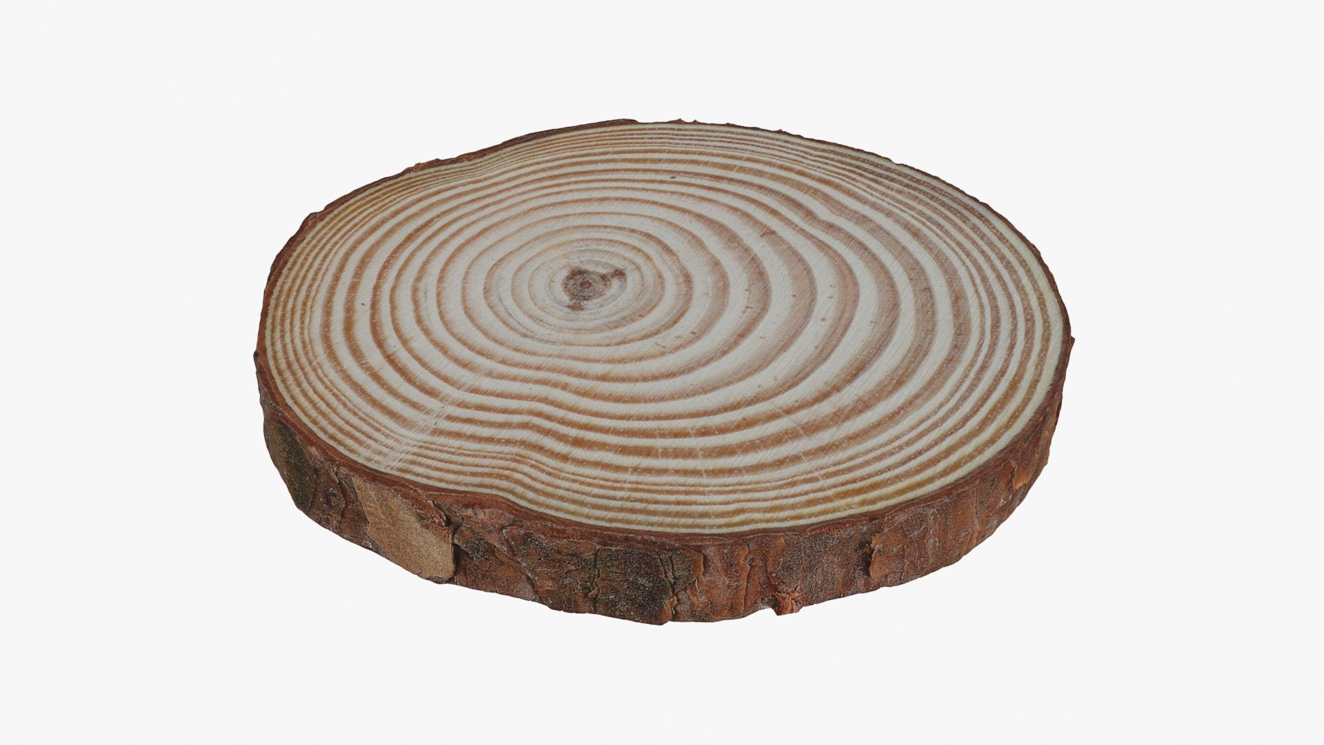 3D Wood Log Slice Collection - TurboSquid 2149410