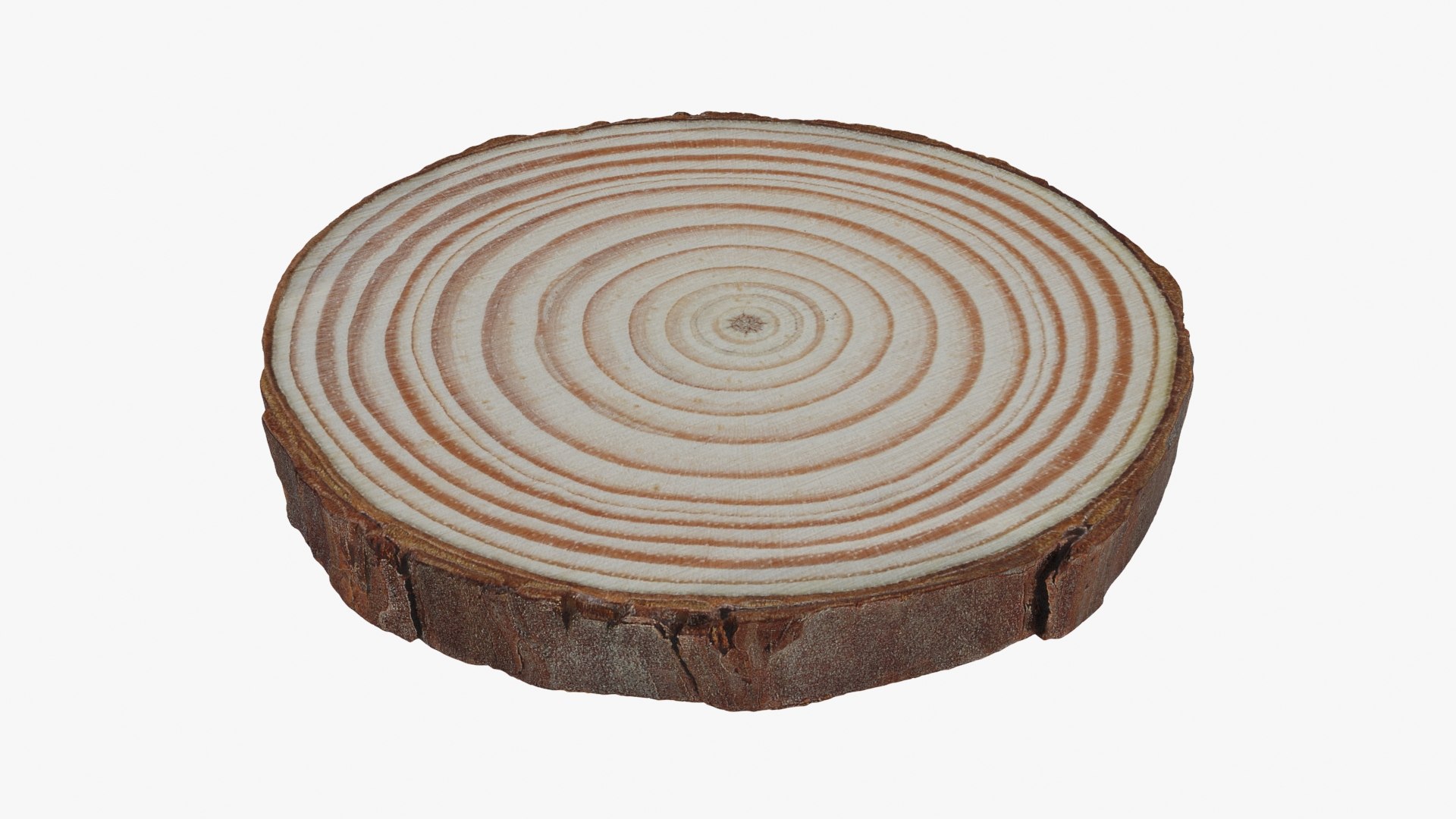 3D Wood Log Slice Collection - TurboSquid 2149410
