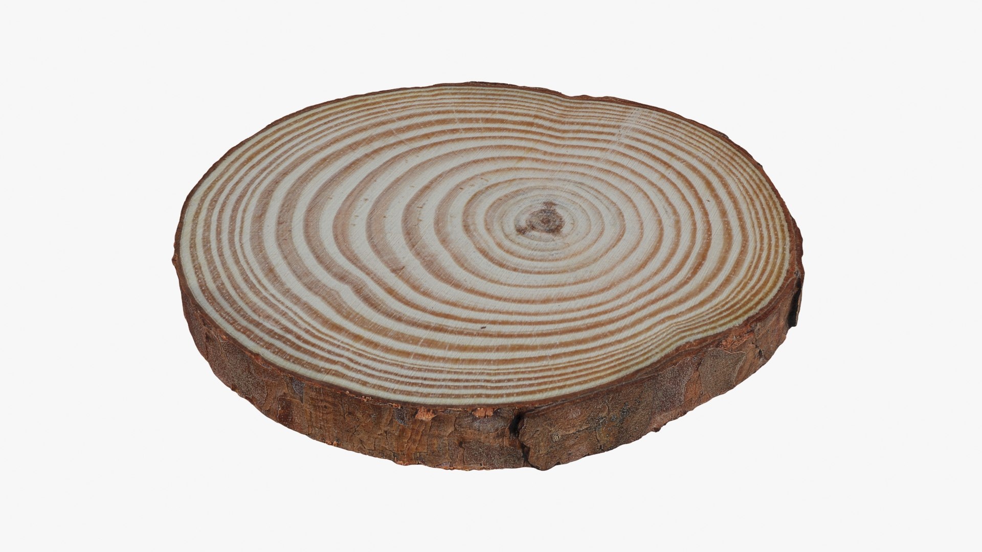 3D Wood Log Slice Collection - TurboSquid 2149410