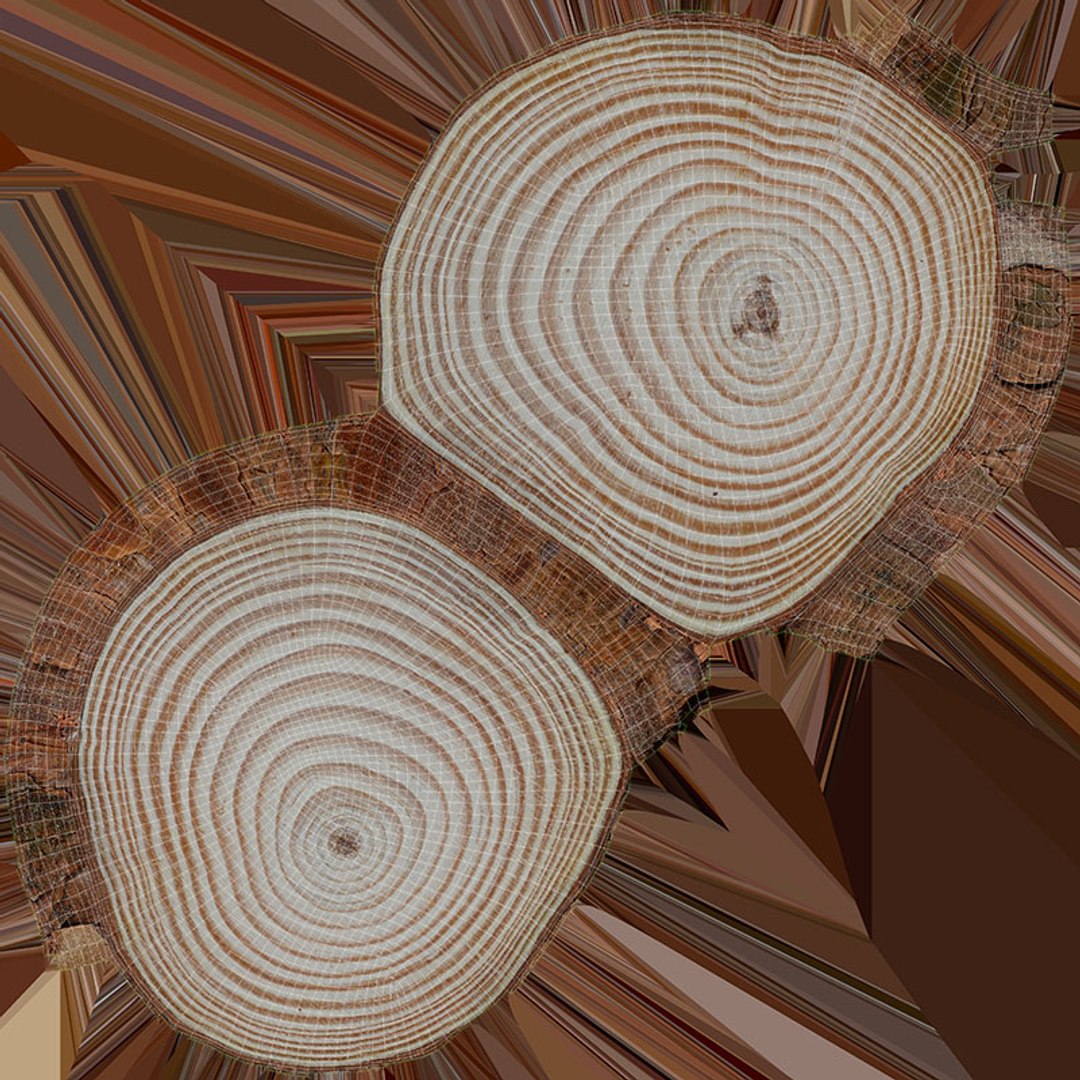 3D Wood Log Slice Collection - TurboSquid 2149410