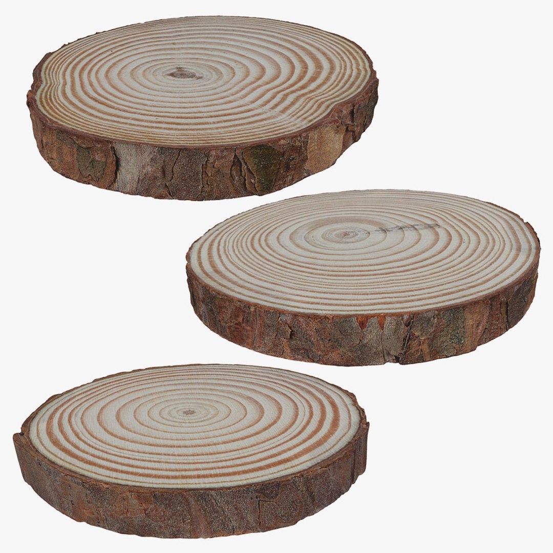 3D Wood Log Slice Collection - TurboSquid 2149410
