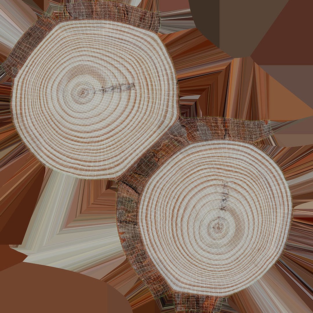 3D Wood Log Slice Collection - TurboSquid 2149410