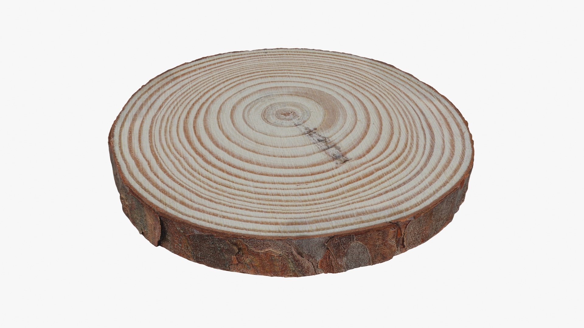 3D Wood Log Slice Collection - TurboSquid 2149410